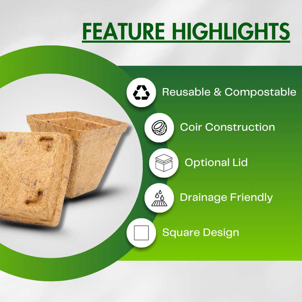Square Coir Pot – COIR AMERICA