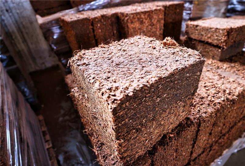 About Us – COIR AMERICA